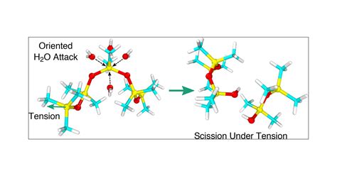 Anisotropic Hydrolysis Susceptibility In Deformed Polydimethylsiloxanes The Journal Of