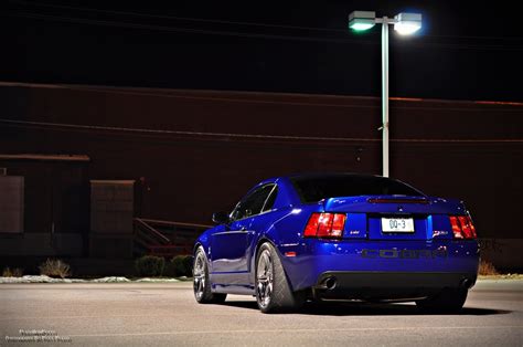 Photoshoot Of My Whippled 03 Sonic Blue Cobra