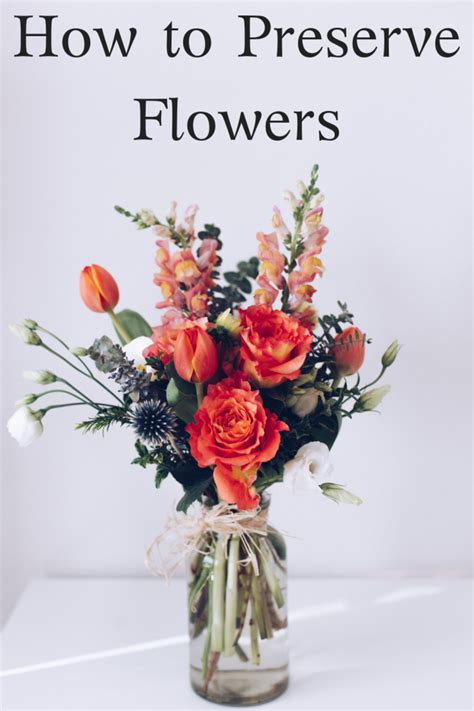 8 Ways To Preserve Roses And Other Types Of Flowers Dengarden