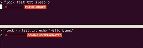 Flock Command In Unix