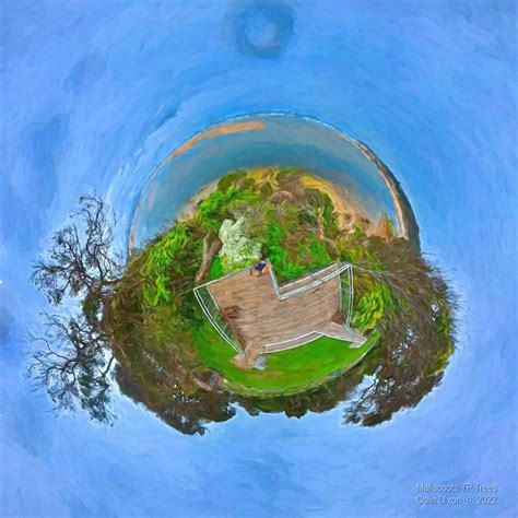 Tp Tree Art Cootaau Your Gateway To Mallacoota