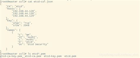 Kubernetes 集群部署之etcd集群部署（二）etcd证书安装与配置 Csdn博客