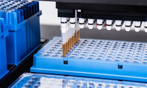 Statistical Foundation For NGS Built From More Than 55 000 Markers