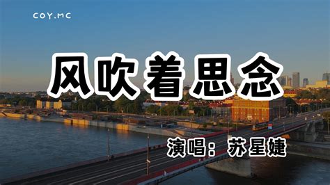 苏星婕 风吹着思念『当你那天干脆放手 才明白永远有尽头』（动态歌词lyrics Video无损音质4k