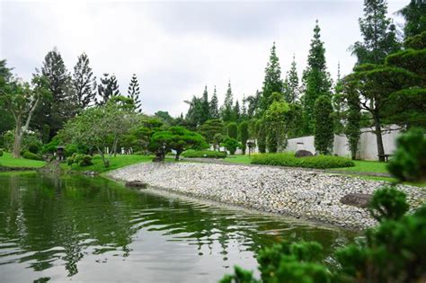 Un Estanque En El Jardín Con árboles Y Un Edificio Al Fondo Foto Premium