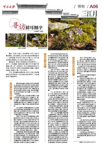 宁波晚报•数字报刊平台