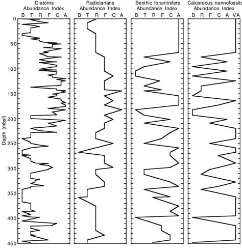 Abundance Estimates For Siliceous And Calcareous Fossils In Corecatcher