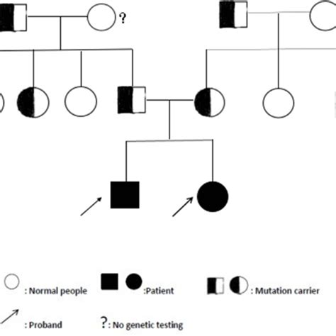 Mutation Of Prf1 Gene In Database Download Scientific Diagram