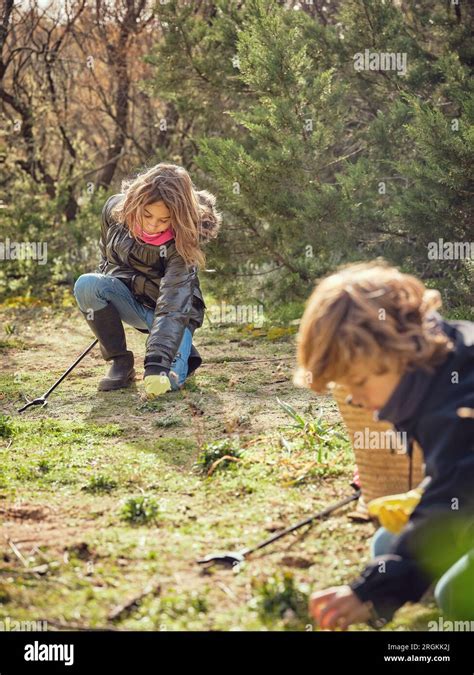 Concentrated Teenagers Volunteers Picking Up Rubbish And Plastic Waste