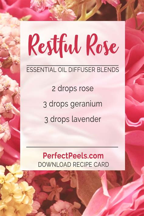 Restful Rose Blend Essential Oil Perfumes Recipes Essential Oil Diffuser Blends Recipes