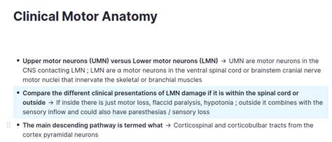 Feedback Wanted Should Rem Level Highlighting Show Up In The Queue