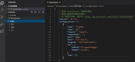 Vscode配置go插件和debug设置教程 付杰博客