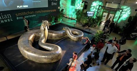 Ciri Fisik Dan Ukuran Ular Titanoboa Monster Yang Mampu Melahap Seekor
