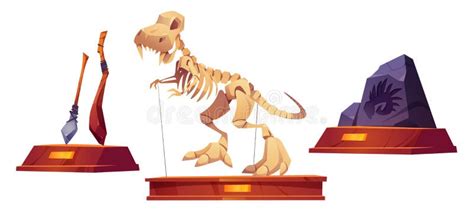 Paleontology Museum Objects Exhibits Items Finds Stock Vector