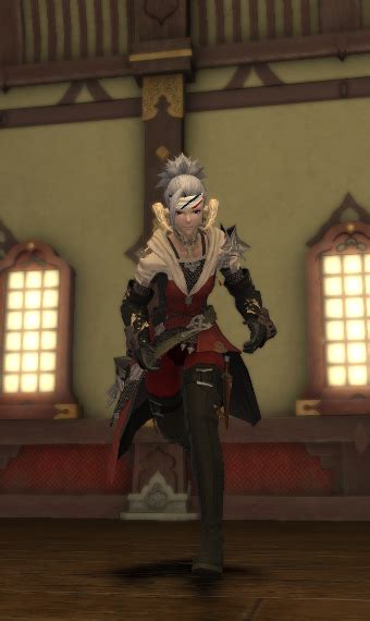 Function Over Form Arr Monk Eorzea Collection