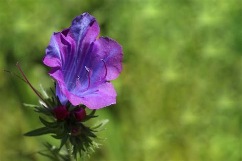 Více Než 7 Obrázků Na Téma Paterson Είναι Κατάρα A Paterson Zdarma