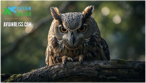 Unusual Facts About Owl Adaptations Natures Silent Hunters