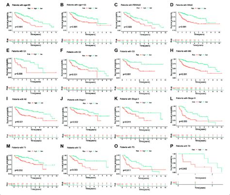 The Km Curve Of Patients With Os Stratified By Age Gender And