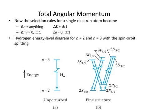 Ppt Vector Coupling Of Angular Momentum Powerpoint Presentation Id