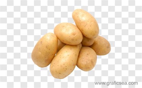 Png Graficsea