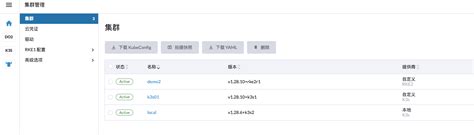 Rancher285 添加rke2或者 K3s 的k8s集群成功，但是页面打开 Error 500 Internal