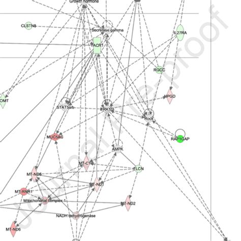 Ingenuity Pathway Analysis Network 2 Download Scientific Diagram