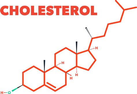 Structure Of Cholesterol In Molecular Diagrams Formule Molec
