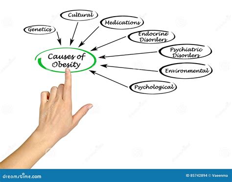 Causes Of Obesity