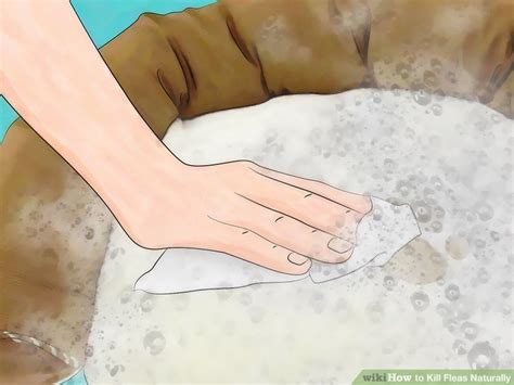 How To Kill Fleas Naturally With Pictures WikiHow