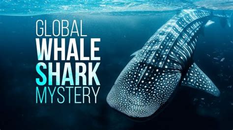 Nature Magellantv Documentaries