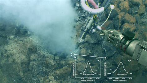 我国科学家发现火山 热液系统可孕育微生物群落 重庆大学科学技术发展研究院