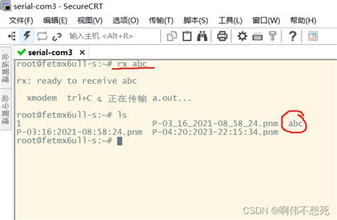 Securecrt Csdn