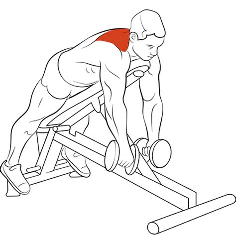 Шраги на наклонной скамье с гантелями