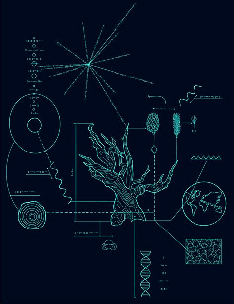 TREE RINGS On Behance