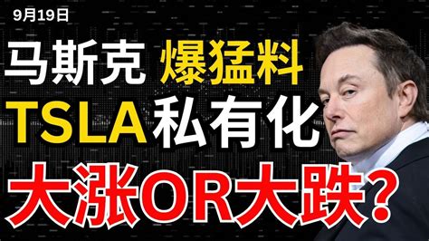 【特斯拉猛料】马斯克爆tesla猛料，想要私有化特斯拉，好事坏事？股价反弹加仓还是套利？特斯拉 特斯拉股票 美股 美股分析 股哥说美