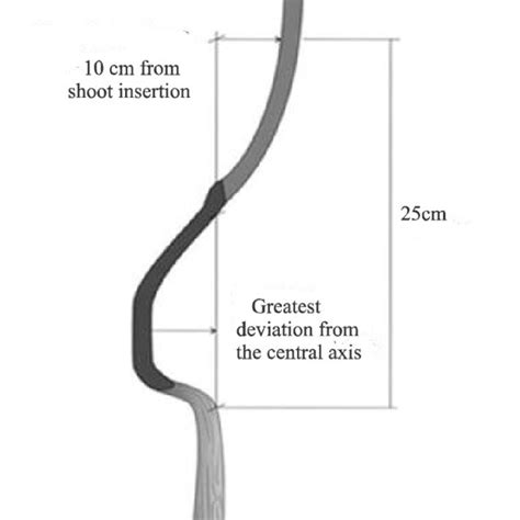 List Of Rbcl Primer Pairs Used For Pcr Amplification And Sequencing