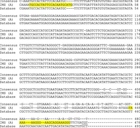 Sequence Alignment Of 478 Bp Polymorphic Aflp Fragment As Amplified