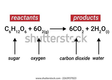 Chemical Reaction Reactants Products Stock Vector (Royalty Free ...