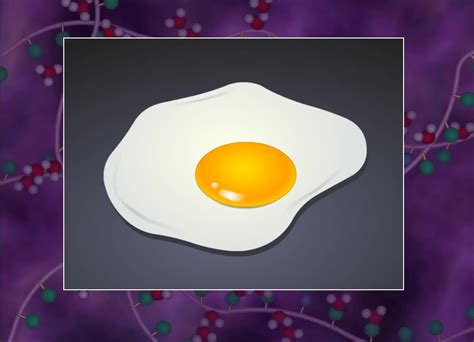 Protein Structure And Protein Denaturation