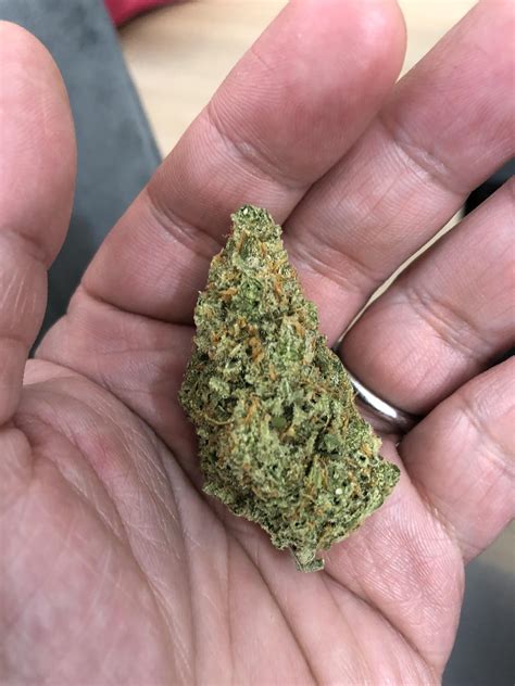 My Favorite Weed Strain In Canada Magi Saltspring Love Haze R