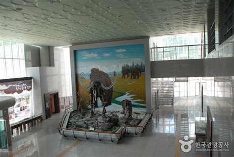 수양개선사유물전시관 충청북도 단양군 가볼만한곳