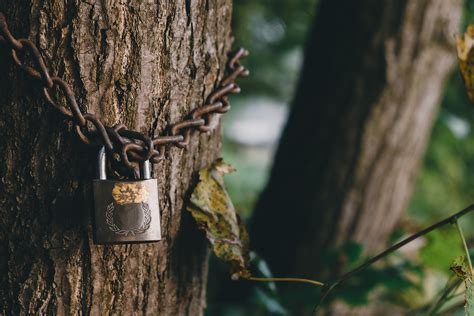 7 Layers Of Security What You Need To Know Ink Legal Popia