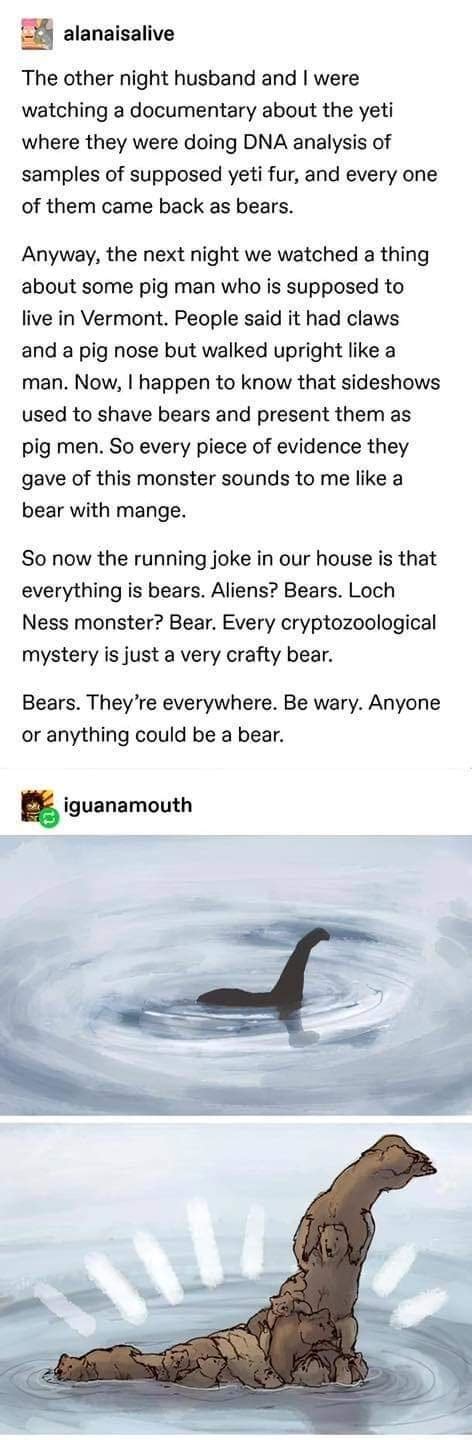 Bears Album On Imgur