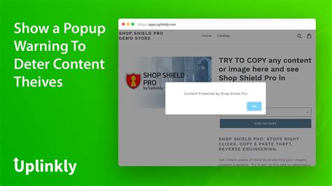 Shop Shield Pro Disable Right Click Image Theft Copy Paste Block