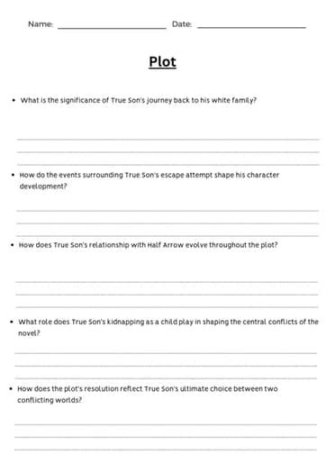 The Light In The Forest Comprehension Test Setting Plot Characters