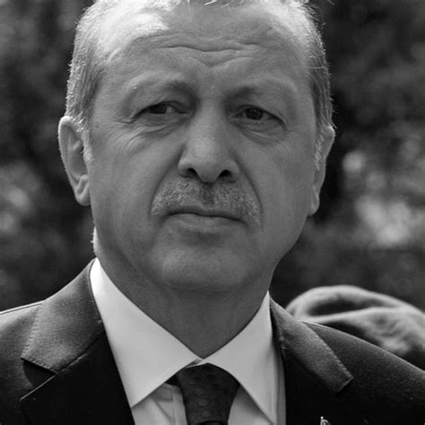 Jürgen Gottschlich „türkei Erdogans Griff Nach Der Alleinherrschaft