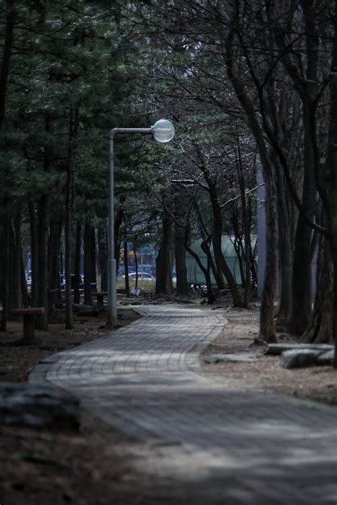 有关下落 亞洲 休閒 休闲区 僻 公园长椅 公園 减少观点 和平的 垂直拍摄 城市公园 天性 安靜 寧靜 小徑