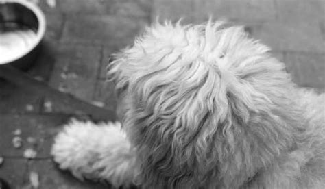 Meet Fred The Friendly Editor For Modx