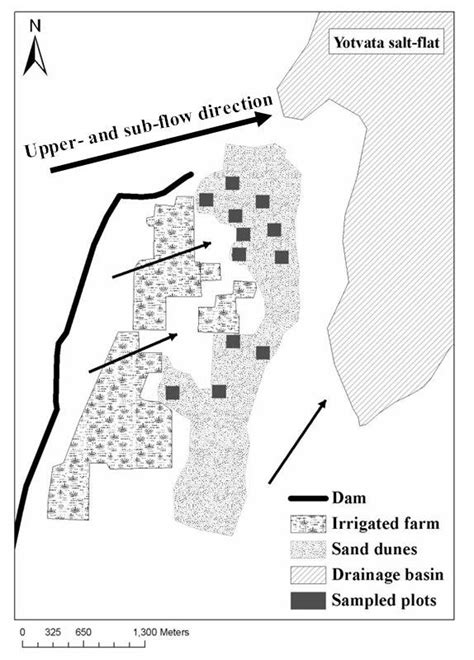 Scheme Of The Study Site And Its Surrounding Environment GIS Output Download Scientific