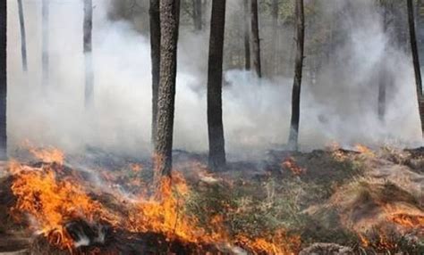 Fuera De Control Incendio En Zona Boscosa De Tlaxcala
